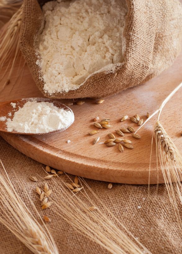 14733223 - ingredients for the baking of bread - Mastering Major Gifts